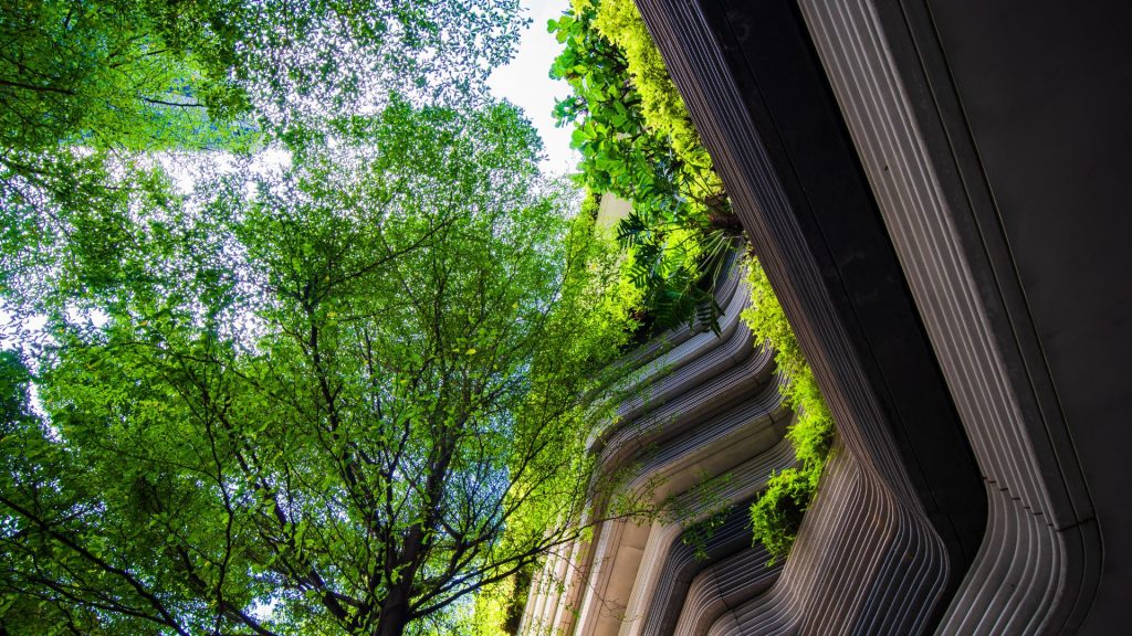 The Green Fabric Revolution: Innovations In Textile Production For A ...